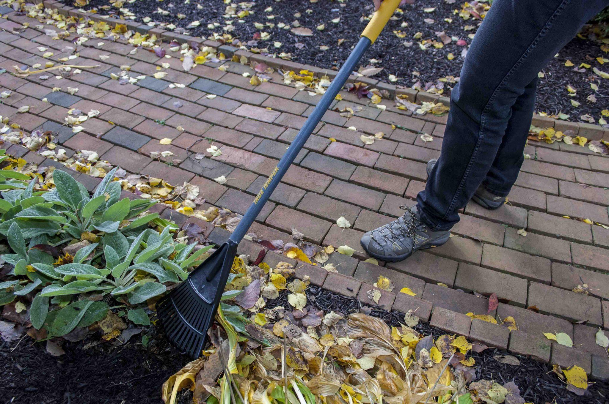 8 INCH FLORAL POLY SHRUB RAKE - Navan Hire & Hardware